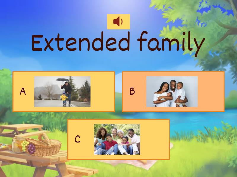 TYPES OF FAMILY - Quiz