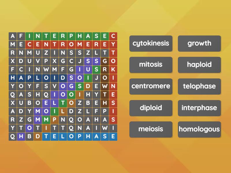 Cell Division - Sopa de letras