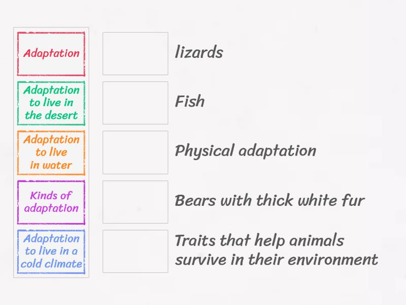 Adaptation - Match up