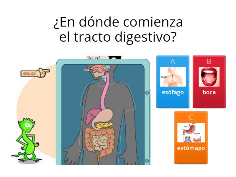 Ciencias naturales_aparato digestivo - Cuestionario