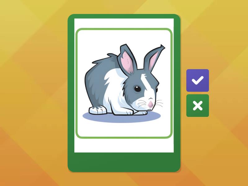 Unit 4. Pets - Flash cards