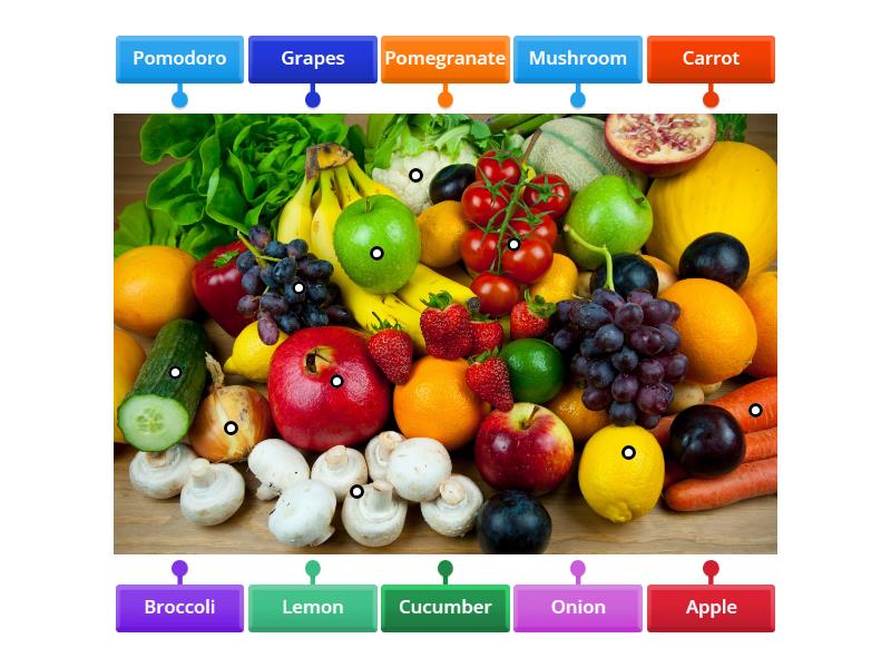 Vegetable - Labelled diagram
