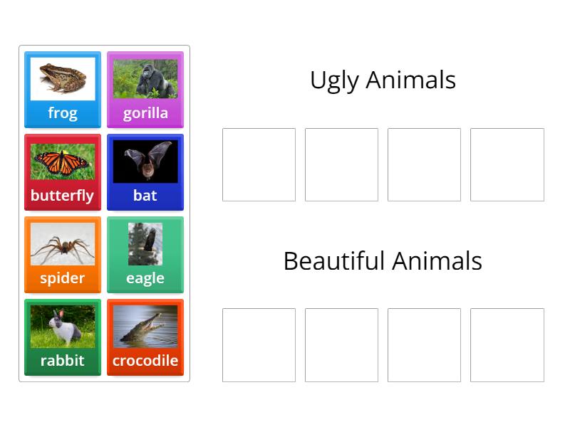 Let's classify these animals! - Group sort