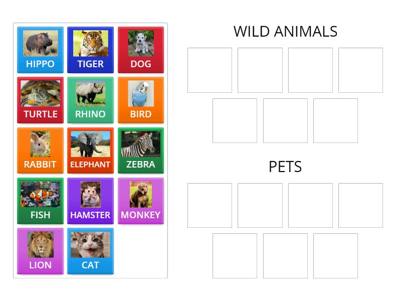Wild Animals x Pets - Group sort