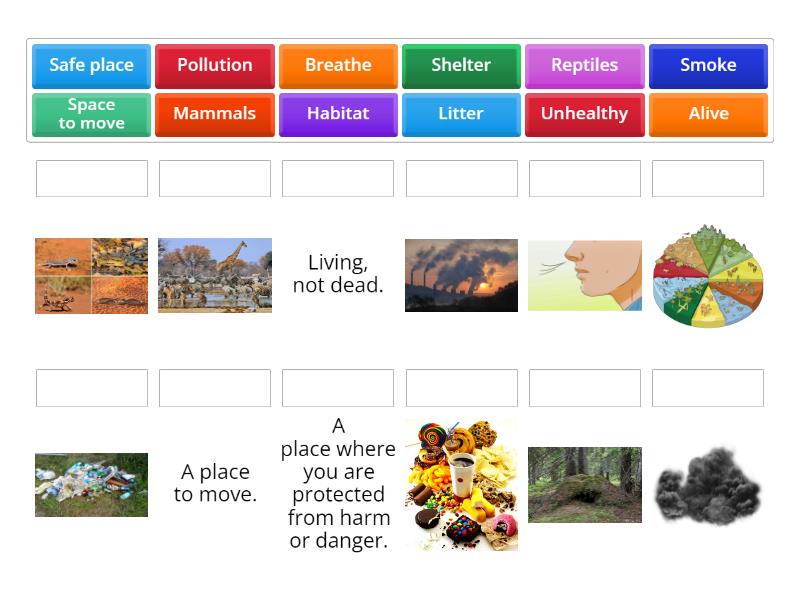 Endangered animals: Vocabulary - Match up