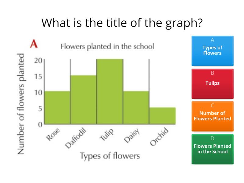 Bar Chart - Quiz