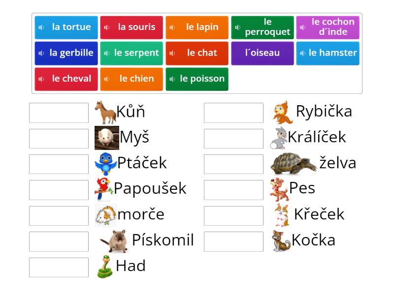 les animaux domestique - Match up