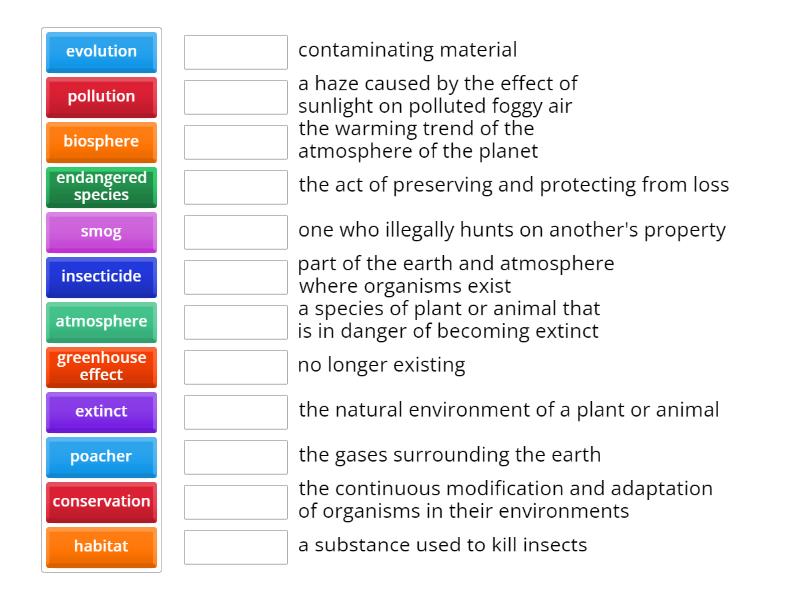 Ecology Vocabulary - Match up