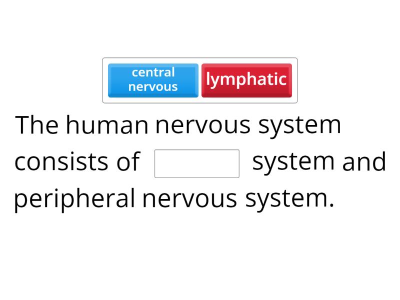 QUIZ 3- Stimuli and Responses - Complete the sentence