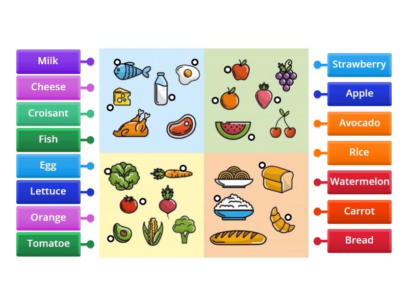 FOOD - Labelled diagram