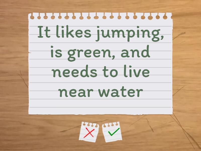 Guess guesser - Tarjetas flash