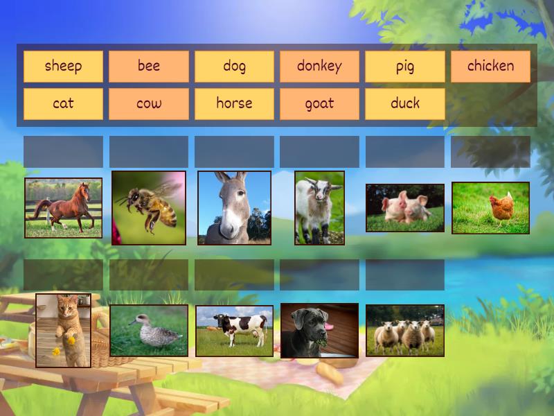 Shine on 2 Unit 6 Words Flashcards - Match up