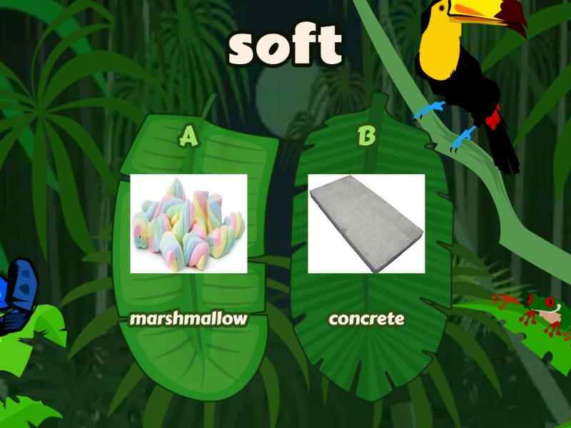 Soft and Hard Objects - Quiz