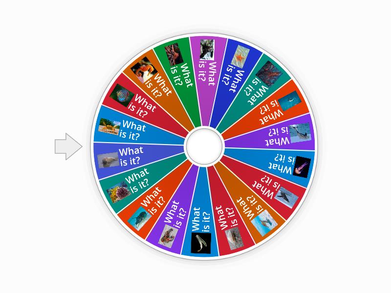 Sea Animals - wheel - Spin the wheel