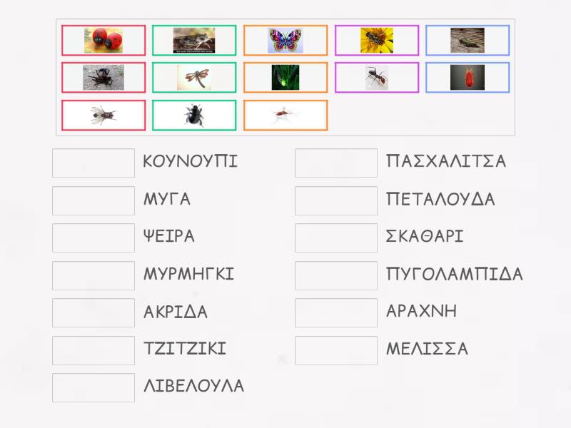 ΕΝΤΟΜΑ - Match up