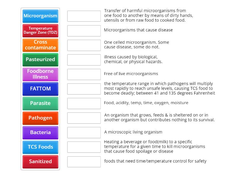 Food Safety Vocabulary - Match up