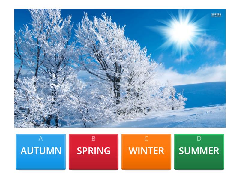 Four Seasons - Quiz
