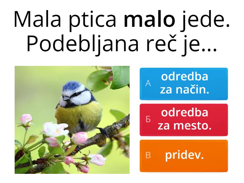SLUŽBA REČI U REČENICI - Квиз