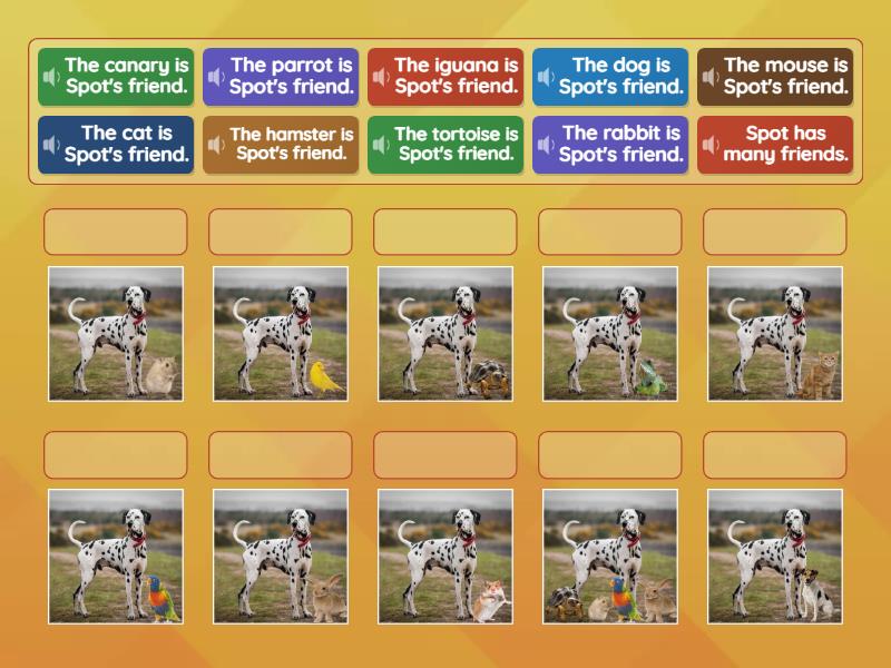 Spot's Friends - Match up