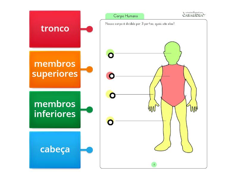 Partes do corpo humano - Labelled diagram