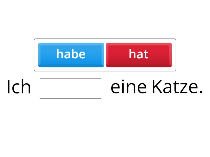 Verb Konjugation (Haben) - Complete the sentence