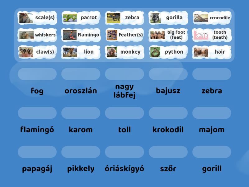 Explore Together 2, Unit 4 - Match up