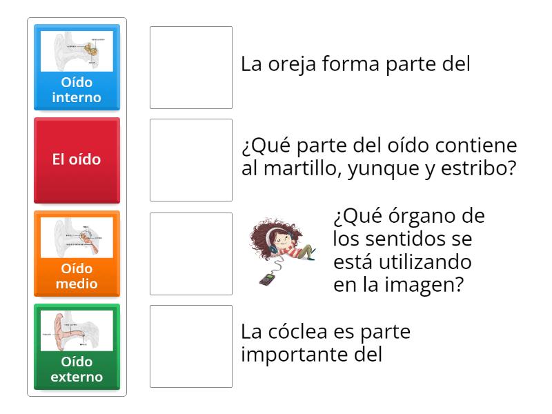El sentido de la audición - Une las parejas