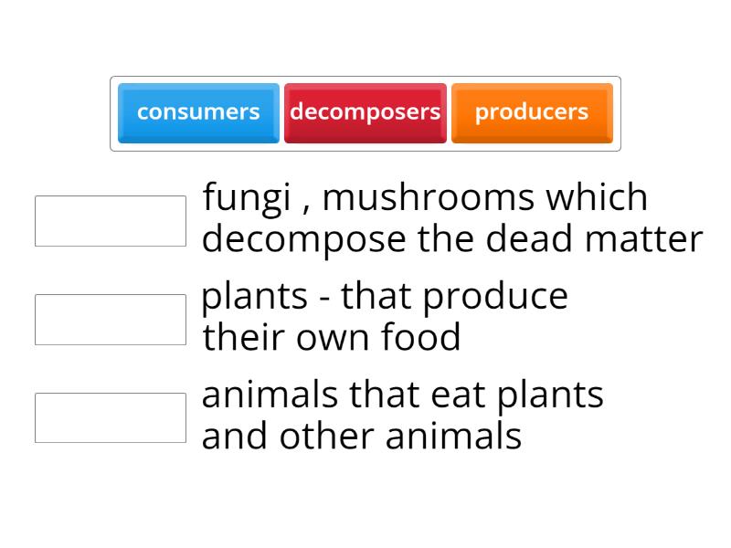 producers , consumers , decomposers - Match up