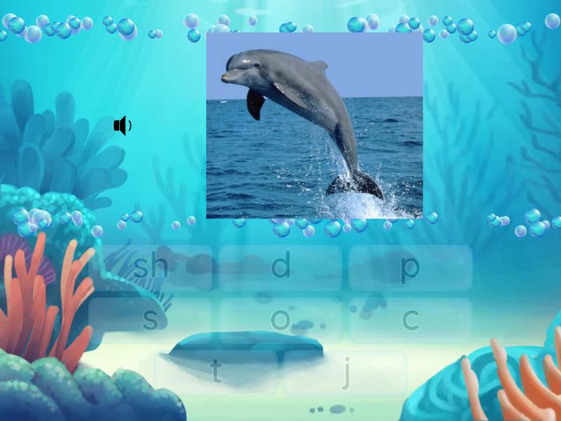 Ocean phonics - Find the match