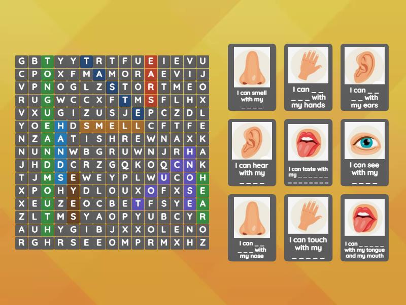 The Five senses - ↓→ - Wordsearch