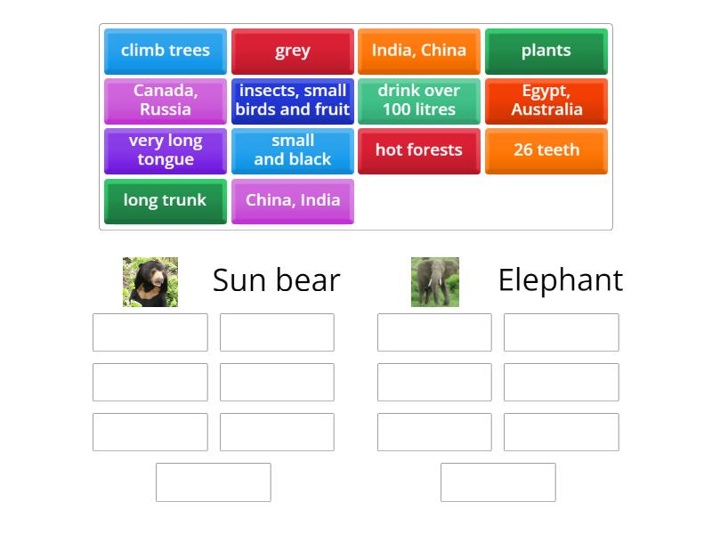 AS2 Unit 1 L7 Animals Facts - Group sort