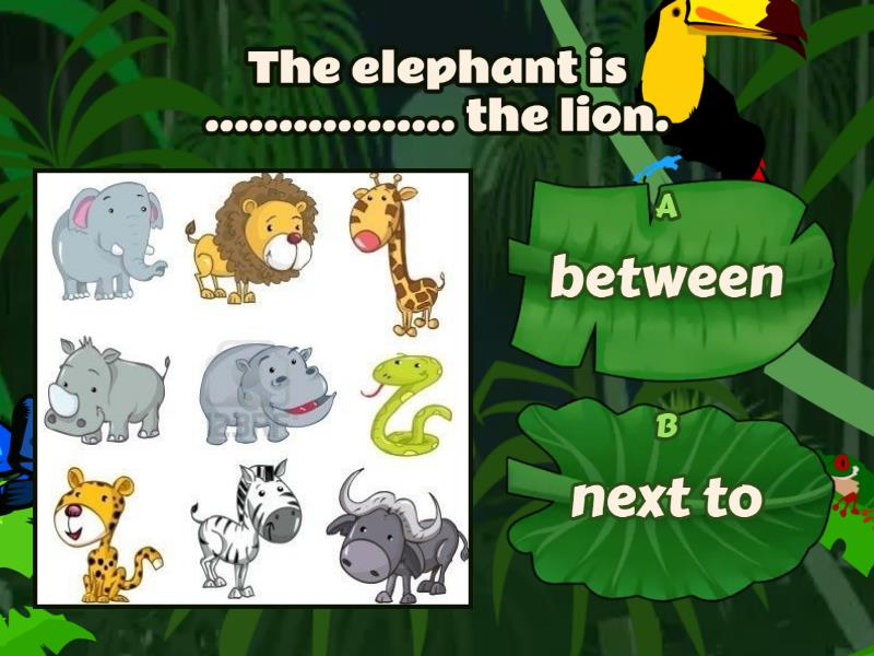 Animals prepositions - Quiz