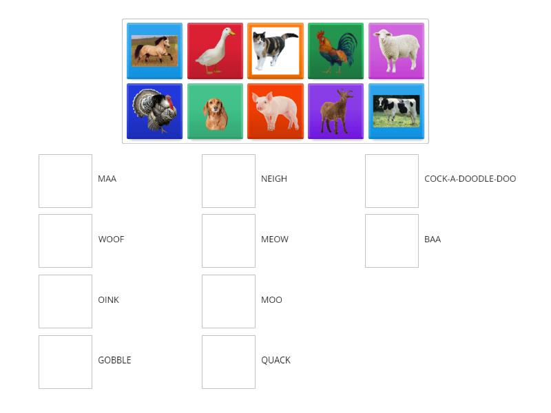 FARM ANIMALS AND SOUNDS - Match up