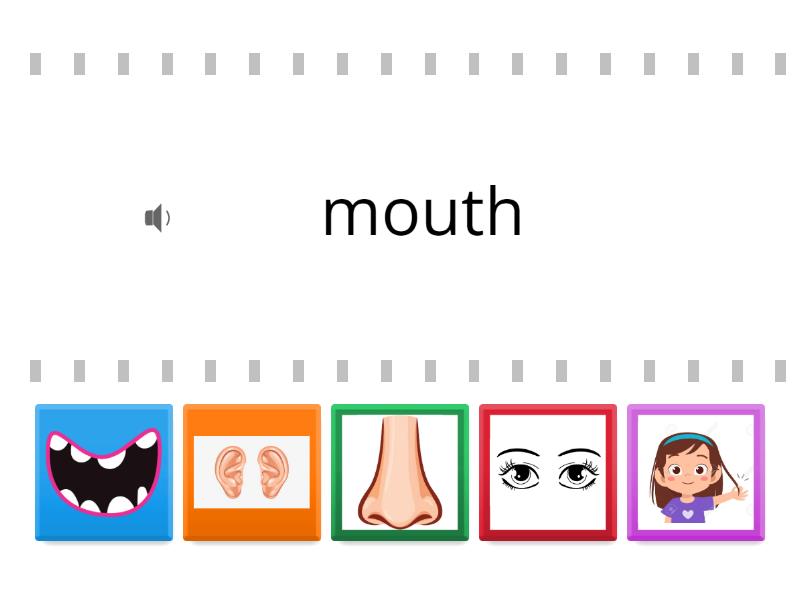 Sweeties_Parts of the body_Game 2 - Find the match