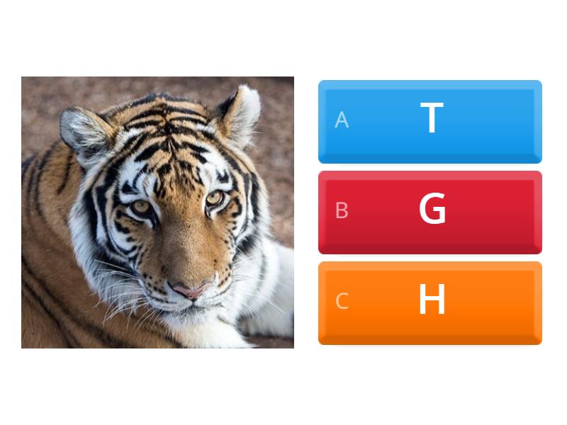 Letter Tt game - Quiz