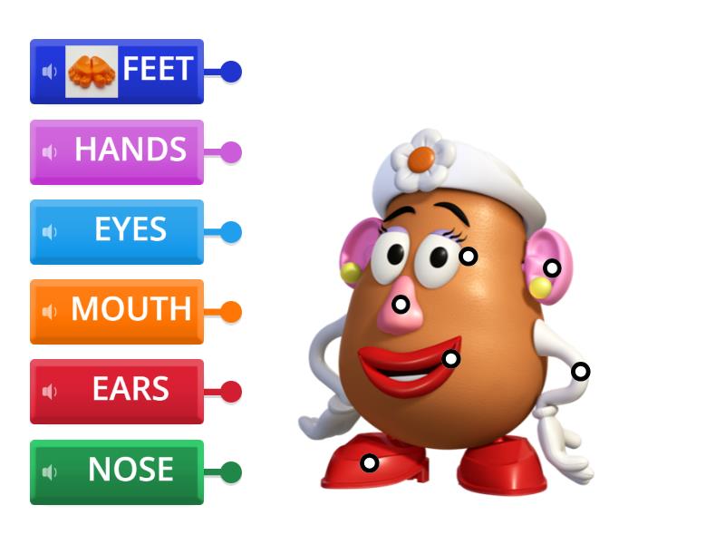 MRS POTATO - PARTS OF THE BODY - PART 2 - Labelled diagram