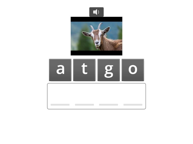 Kid's Box 2 - Animals - Anagrama