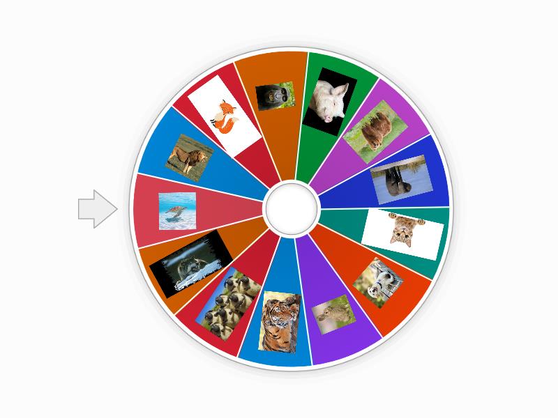 Animals wheel - Spin the wheel