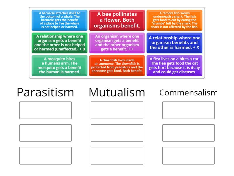 Symbiotic Relationships Review - Group sort