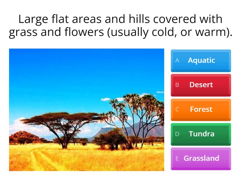 Biomes - Quiz