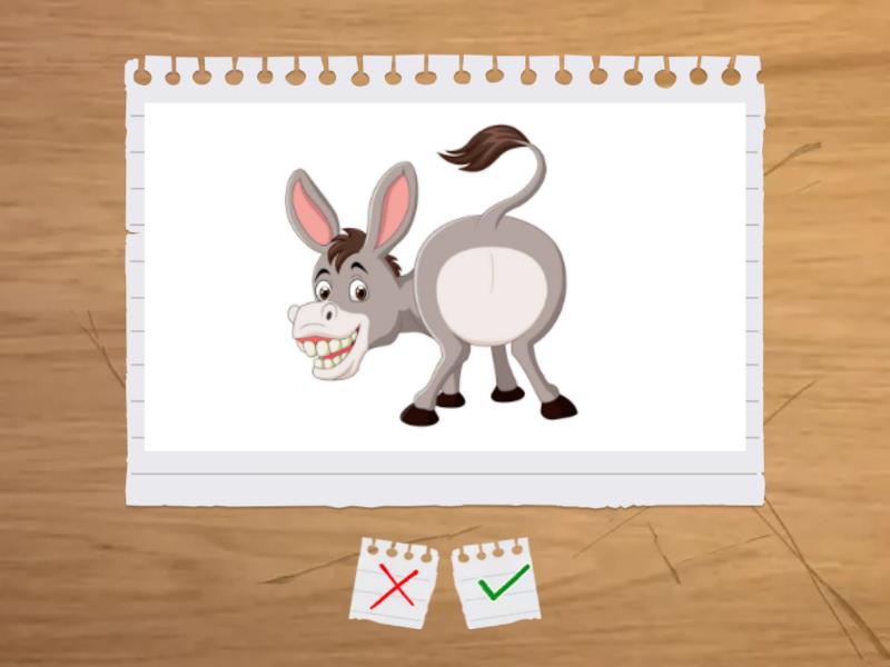 FUN FOR STARTER-UNIT 10: OUR FAMILIES & animals & the home - Flash cards