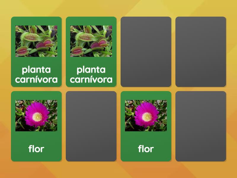 Memory de plantas - Matching pairs