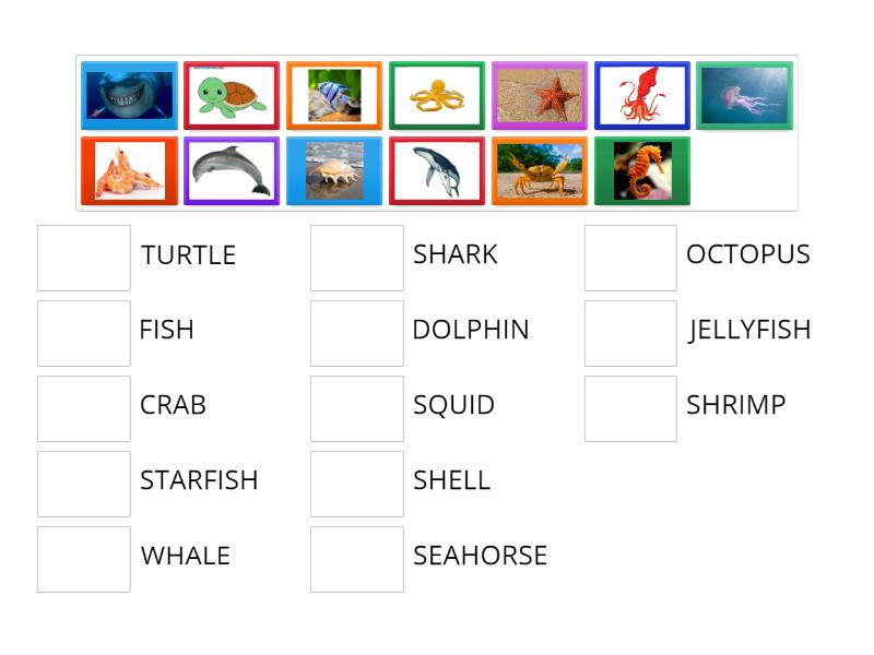 kids sea animals - Match up