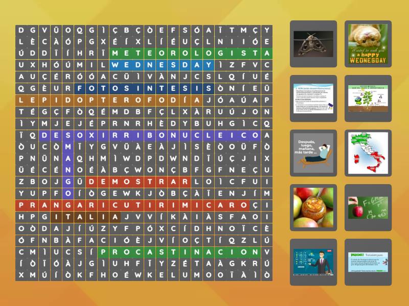 SOPA DE LETRAS PARA PRIMER GRADO - Wordsearch