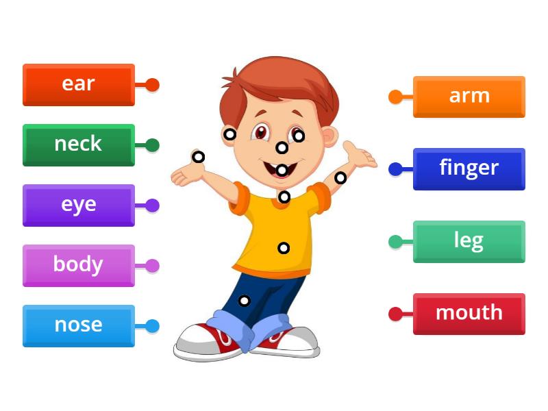 My body. Unit 5. Lesson 4 - Labelled diagram