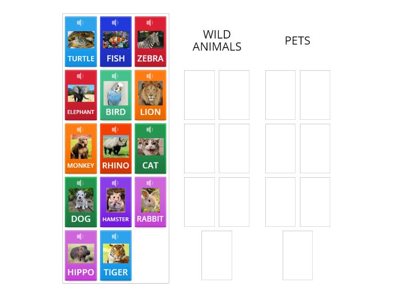 Wild Animals x Pets - Group sort