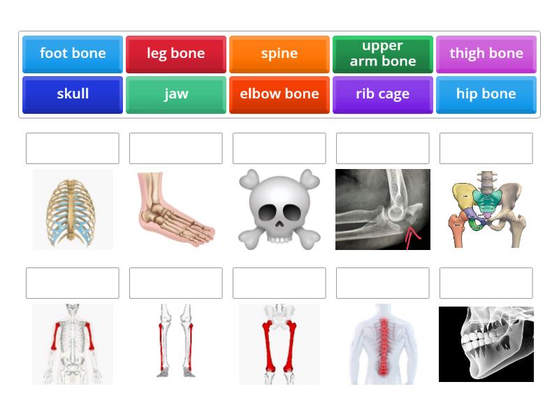 1.1 SKELETON - Match up
