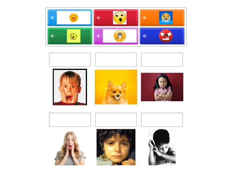 MATCH THE FEELINGS - Match up