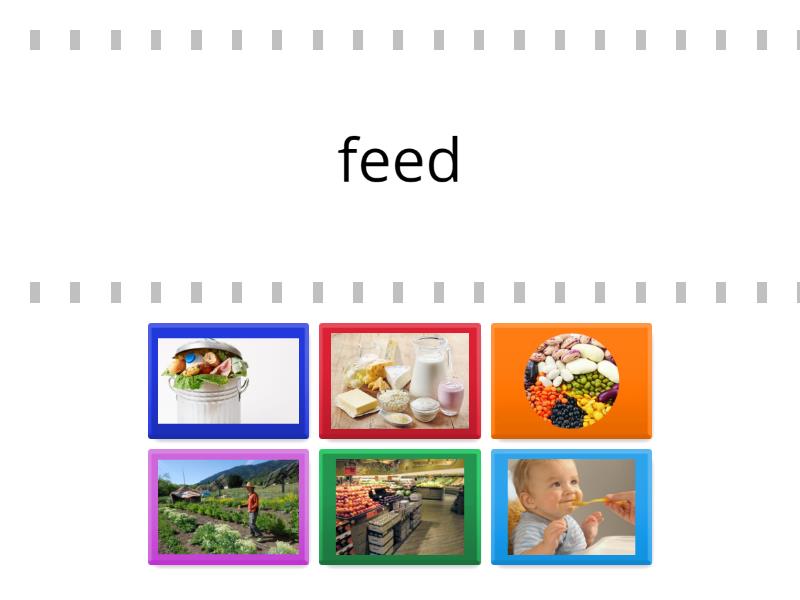 Science matching - Find the match