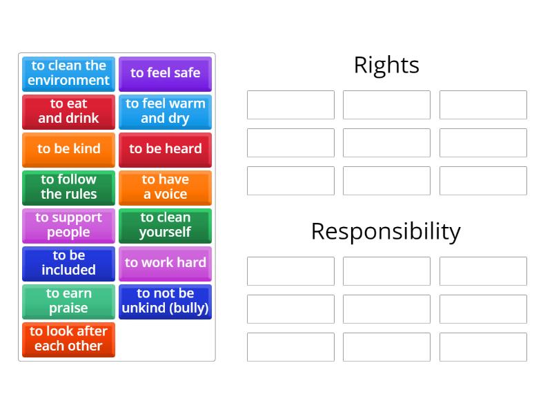 QUIZ 1: Rights or responsibility - Group sort
